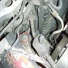 1994 Ford Truck Ranger, SPOUT Photo - iATN